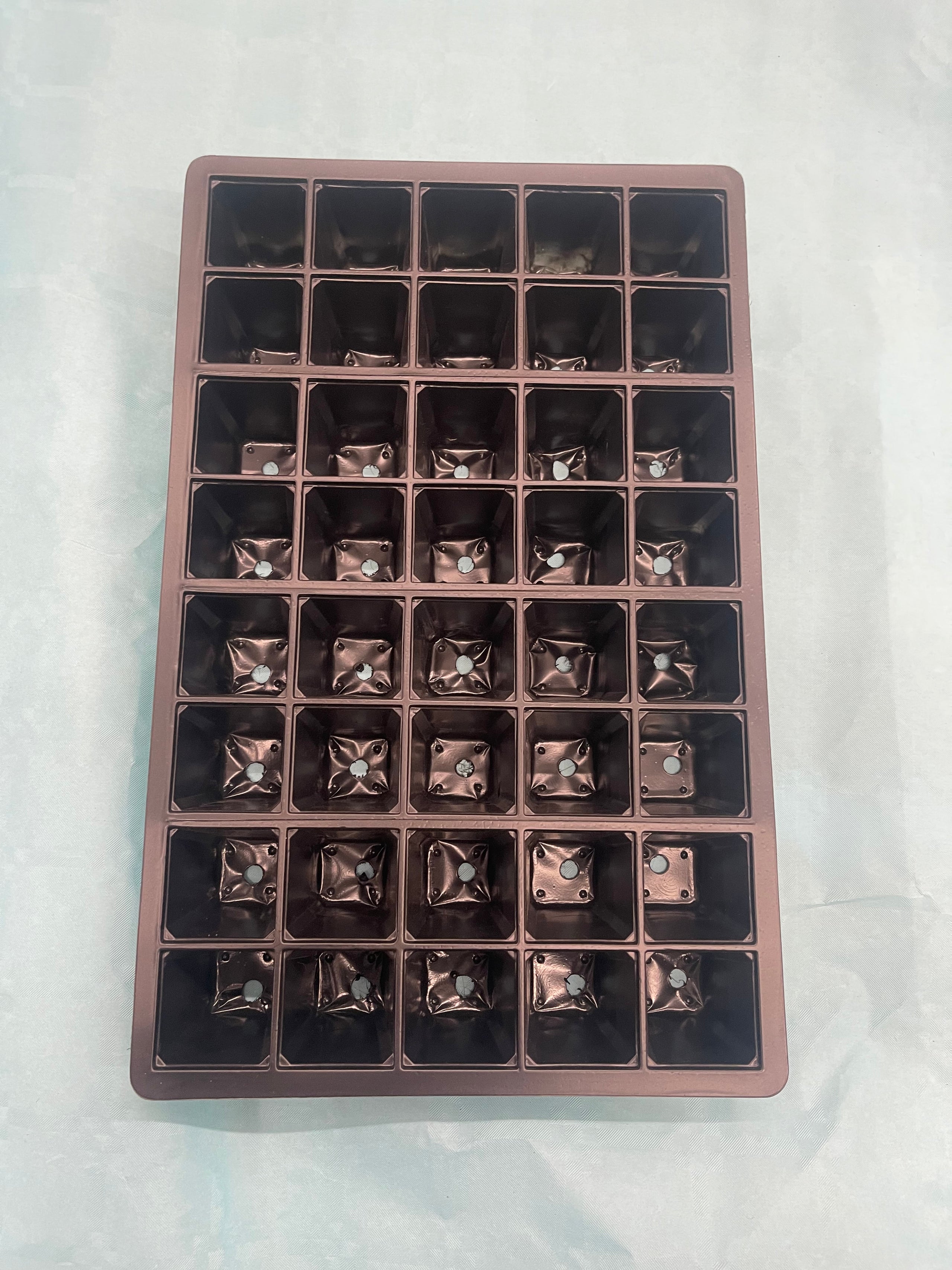 Cell Trays - (15, 24 and 40 cell) | Crawley Horticultural Society